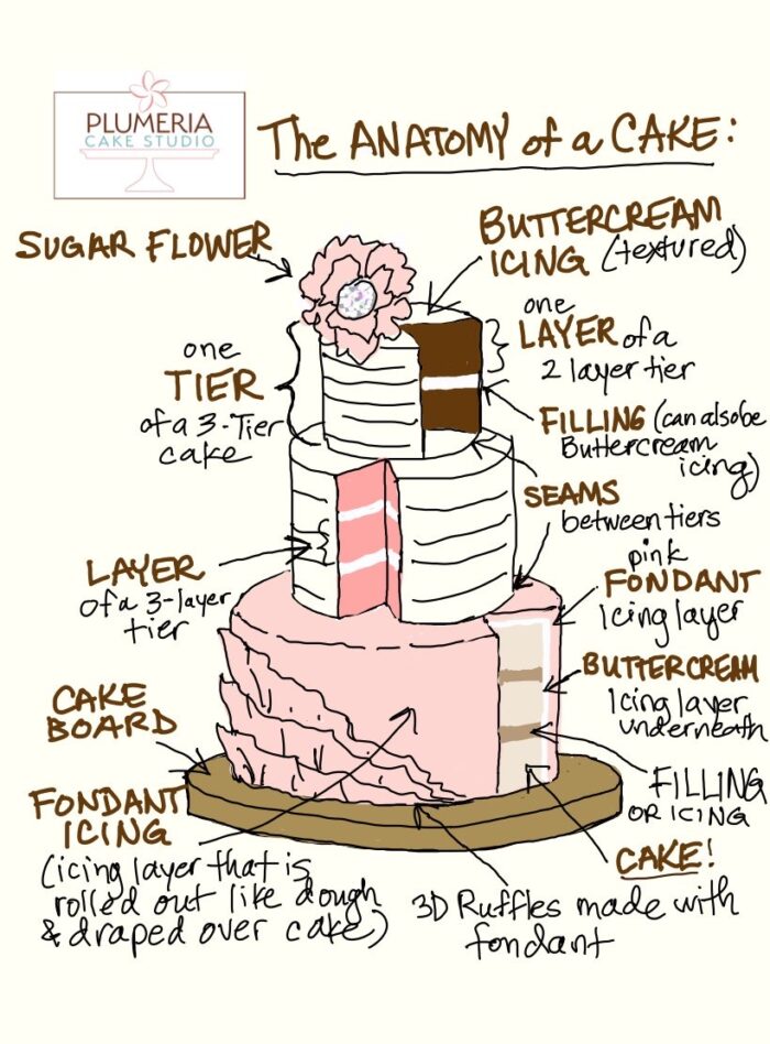 Plumeria Cake Studio | Let’s talk CAKE!